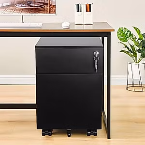 Daesar 2 Drawer Mobile File Cabinet with Lock Metal Filing Cabinet for Legal/Letter/A4/F4 Size, Fully Assembled Include Wheels, Home/Office Design, Black