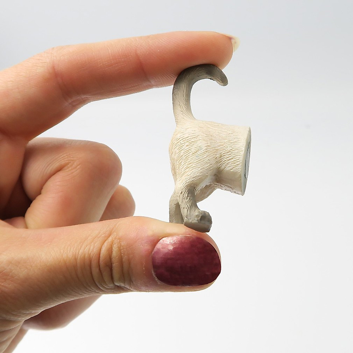 6 Pack - Evelots Refrigerator Magnets-Cat Butts-Photo/Key Holder-6 Popular Breeds