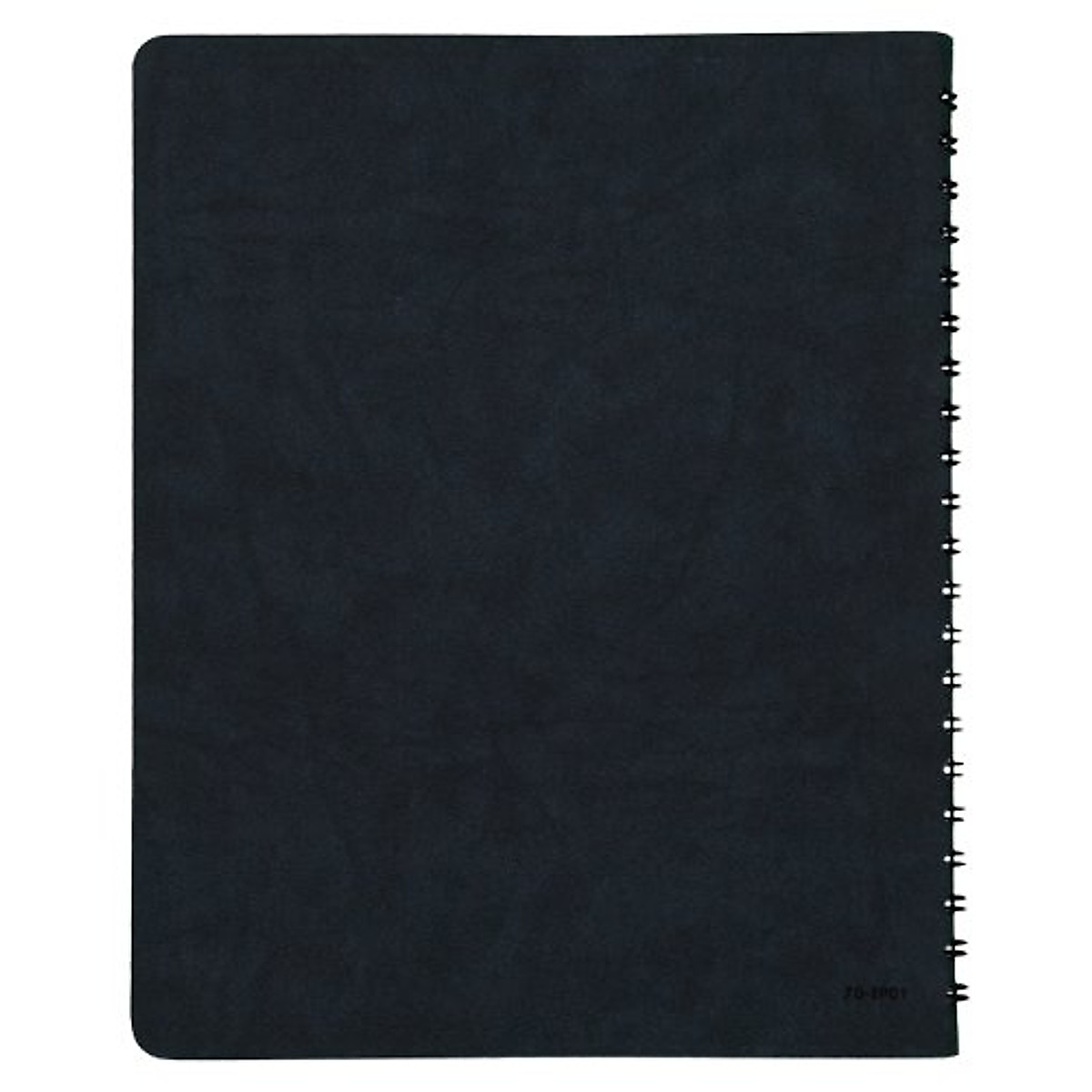 AT-A-GLANCE The Action Planner Recycled Weekly Appointment Book, 8 1/2 x 11 Inches, Black, 2013 (70-EP01-05)