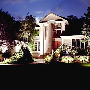 WeLead Bright LED Spotlight 7W COB Pathway Lights with U.S. Plug Flag Spot Light Garden Light with Metal Ground Stake, Waterproof Landscape Lighting for Lawn, Driveway, Yard, Set of 2 (Cool White)