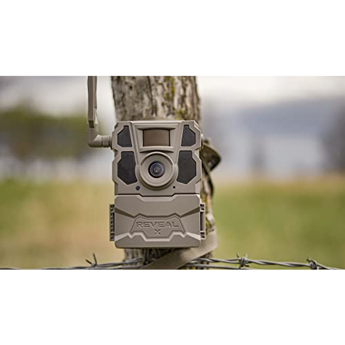 TACTACAM Reveal X Gen 2.0 LTE Cellular Trail Camera (2 PK) + Two 32GB SD Cards