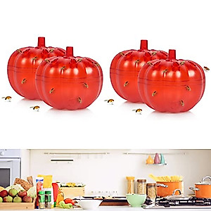 Stingmon 4 Pack Fruit Fly Trap Indoor, Gnat Killer for Kitchen, Fly Trap Catcher for Home, Gnat Traps Indoor