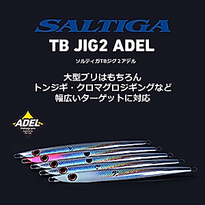 Daiwa SGTB Jig 2A260AML, Full Silver