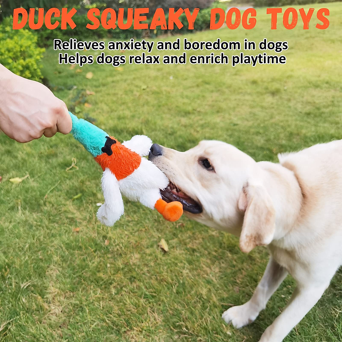 lilfrd Dog Toys, Dog Squeaky Toys, Crinkle Duck Dog Toy, Dog Stuffed Animals Chew Toy, Soft Durable Plush Dog Toys for Large,Medium,Small Dogs, Dog Birthday Christmas Toys Gift