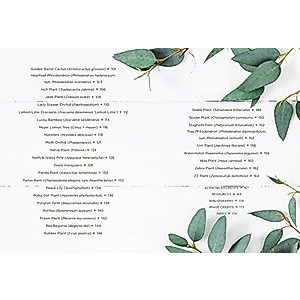 How to Houseplant: A Beginner’s Guide to Making and Keeping Plant Friends