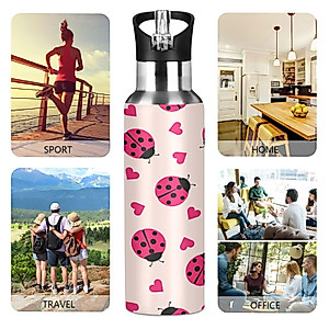 KEEPREAL Cute Ladybug Water Bottle with Straw, 22 OZ Sports Water Bottle BPA Free Stainless Steel Water Jugs for Gym, Travel, Working, Outdoor