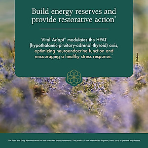 Natura Health Products Vital Adapt Supplement - Daily Nourishing Adaptogenic Tonic for Endocrine Function Support - Featuring Rhodiola, Ashwagandha, Cordyceps, Reishi (60 Capsules)