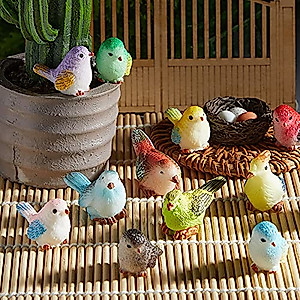 Jetec 30 Pieces Fairy Garden Accessories Bird Decorative Figurines Miniature Bird Figurines for Fairy Garden, Dollhouse Miniature, Cake Topper, Micro Landscape, Yard Bonsai Decal, Home Decoration
