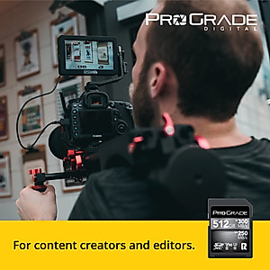 ProGrade Digital SDXC UHS-II V90 300R Memory Card (512GB)