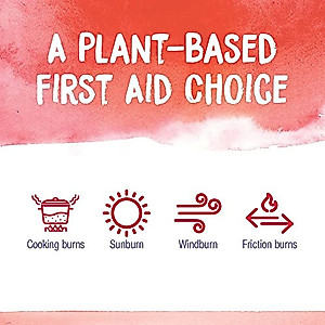 Boiron Calendula Burn Ointment for Relief from Minor Burns from Cooking, Friction, or Sunburns - 1 oz