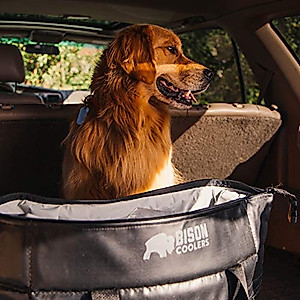 Bison Soft Cooler, Small Cooler Bag, Travel Cooler, Soft Sided Cooler Bag, Camping Coolers, Insulated Cooler, Soft Cooler Bag, Travel Cooler for Car, Bag Cooler (12-Can, Blue)