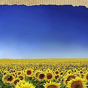 Hellmann's Vegan Dressing and Spread Vegan 3 Ct for a Rich, Creamy Plant-Based Alternative to Mayo Same Great Taste, Plant Based, Free From Eggs 11.5 oz