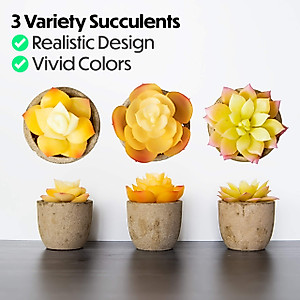 3 Piece Yellow Decor Artificial Succulent Plants in Grey Pots Realistic Greenery Mini Potted Faux Plant Arrangements for Home Decor Office Room Dorm Bathroom Restroom Kitchen Table Centerpieces