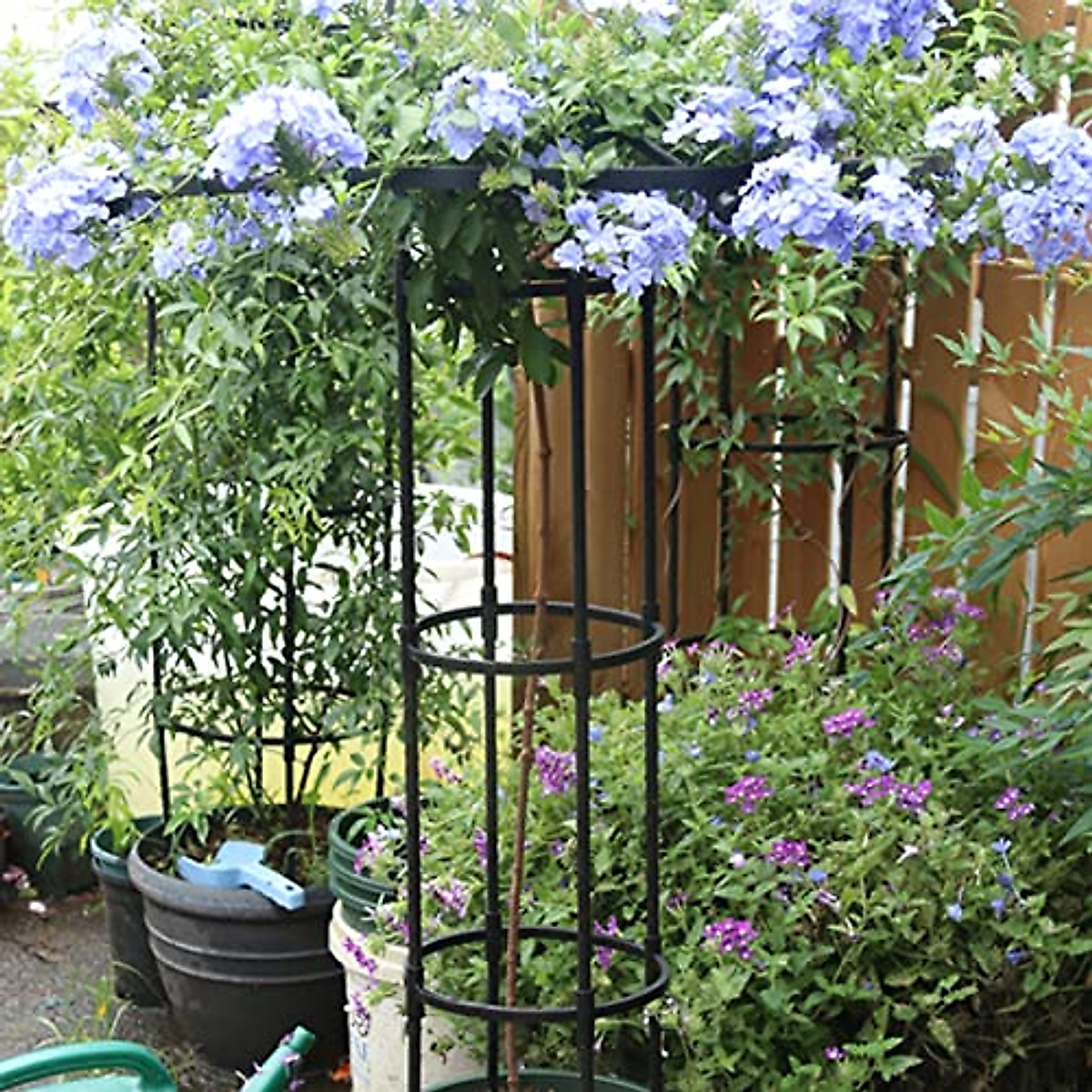 Garden Trellis for Climbing Plants Outdoor, Indoor Plant Support Trellis Metal for Potted Plants Climbing Flowers Vegetable, Rustproof Trellis Vine Rose for Vertical Climbing