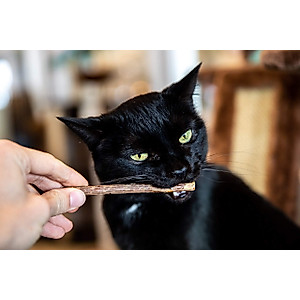 Meowy Janes Matatabi Chew Sticks - An All Natural Silvervine Cat Toy and Cat Treat - Catnip Alternative