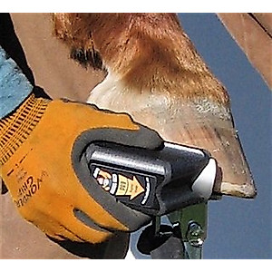 EVO Hoof Care Radius Rasp-2 'PRO' Solid Stainless Steel Replacement Rasp-Tooth Blade