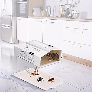 Qualirey Mouse and Insect Glue Boards Pest Glue Traps Bulk Large Mouse Rat Trap Sticky Adhesive for Mice Spider Moth Cockroaches Cricket House Indoor Outdoor Non Toxic (300 Pcs,10.63 x 5.31 Inch)