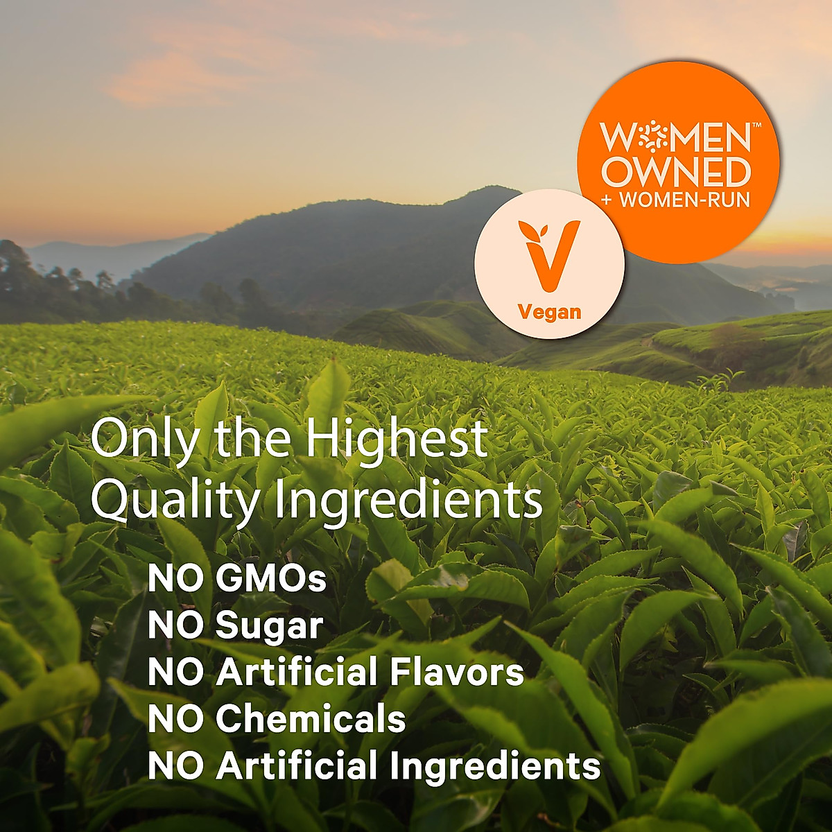 Pink Stork Organic Lactation Support Tea for Breast Milk Supply - Fenugreek, Milk Thistle, Fennel - Breastfeeding Essentials, Caffeine-Free - 15 Sachets, Smooth Vanilla