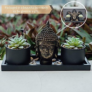 Buddha Statue & Succulent Zen Garden Set- Buddha Head Statue w/ Wooden Display Tray & Stones| Buddha Decor For Home Decor. Beautiful & Peaceful. Great Meditation Gifts.