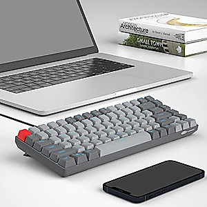 84 Keys Mechanical Gaming Keyboard, Compact Gray Gaming Keyboard with Linear Red Switches, Wired Detachable Type-C Cable Mini Keyboard with Blue Light for Windows/Mac/PC/Laptop
