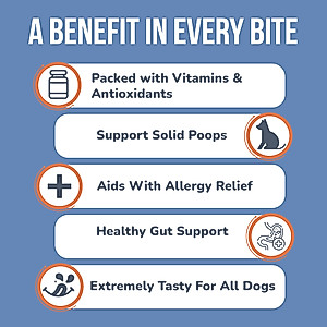 Probiotics for Dogs, Allergy Relief Soft Chew Treats, Fiber Supplement & Enzyme Prebiotic for Digestion Support, Itchy Skin, Reduce Diarrhea - Pumpkin for Dogs, Made in USA (90 ct)