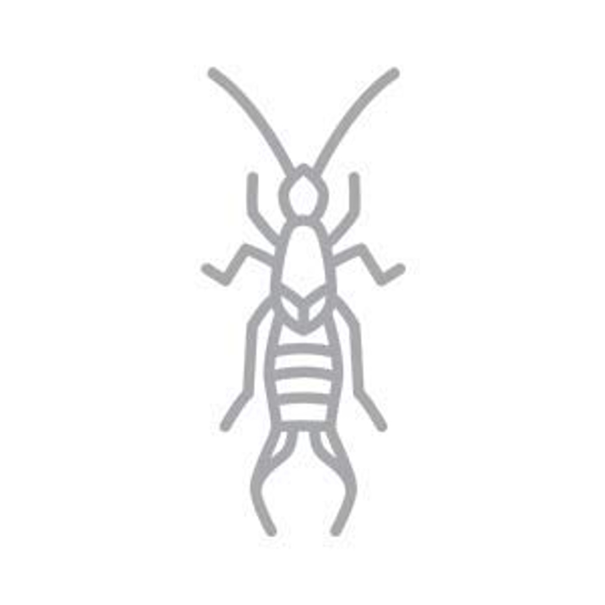 BUGGSLAYER Insecticide Ready-to-use Indoor 32-oz