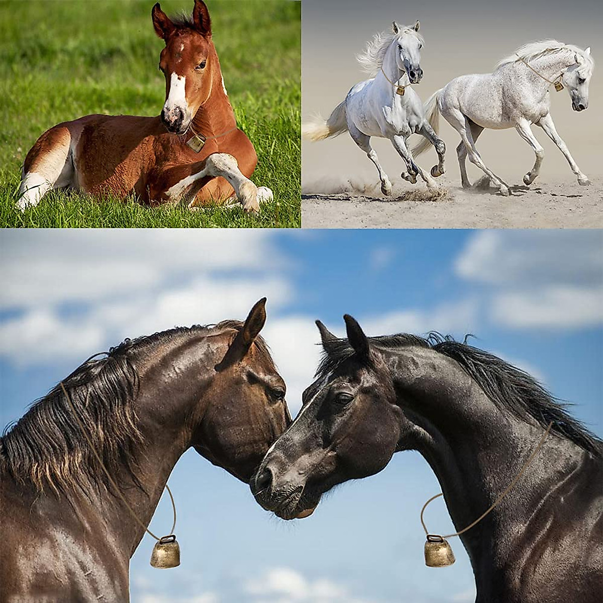 16PCS Vintage Style Metal Cow Bell, Cowbell for Grazing Cattle, Horses and Sheep, Animal Anti-Lost Accessories Bell,Often Used in Festive Cheering Loudly Calling Bell (Brass)