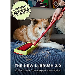 LeBRUSH 2.0 Pet Hair Remover for Carpet for Short & Long Cat, Dog Hair | Remover for Carpet & Couch, Carpet Rake, Pet Hair Removal Tool, Carpet Broom, Pet Hair Rake, Dog Fur Remover