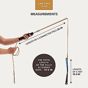 Chasing Tails Flirt Pole for Dogs Heavy Duty - 26 Inch with 30 Inch Rope and Two Toys for All Breeds - Spring Pole for Dogs, Dog Flirt Pole for Large Dogs, Dog Catcher Pole