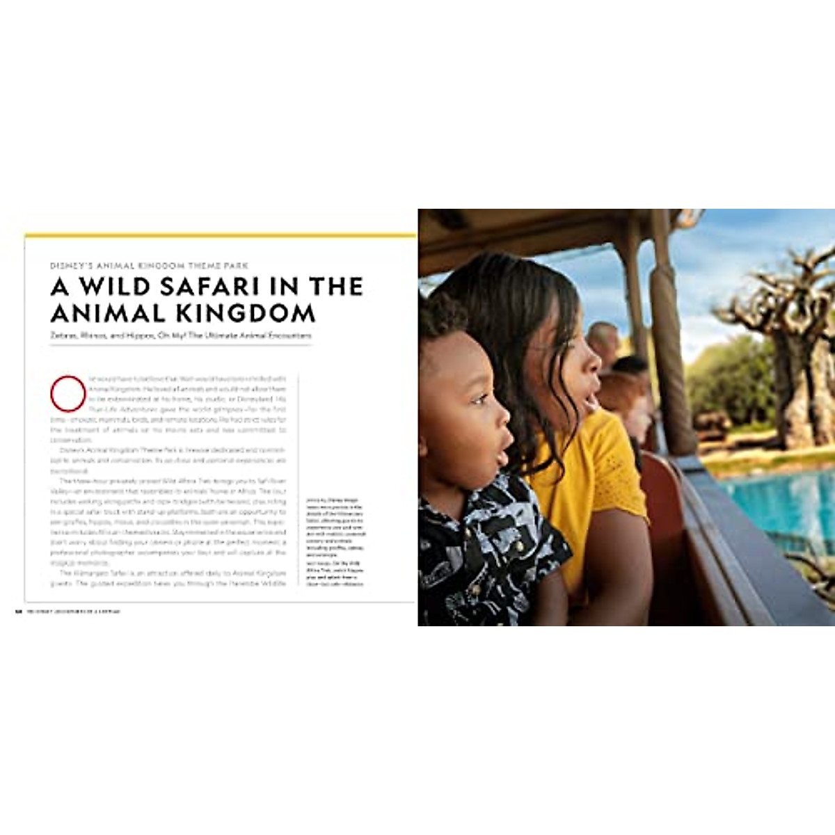 100 Disney Adventures of a Lifetime: Magical Experiences From Around the World