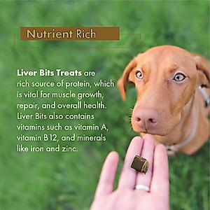 Liver Bits Treats for Dogs - Freeze Dried Training Treats - 100% Natural Raw Beef Liver - High in Protein 4 oz