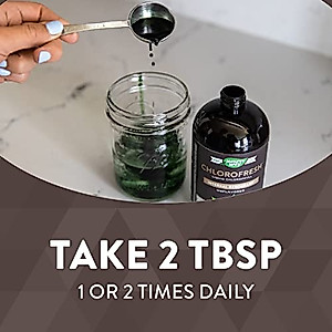 Nature’s Way Chlorofresh, Supports Detoxification Pathways*, Liquid Chlorophyllin Copper Complex, Supports Healthy Skin*, Internal Deodorant*, Mint Flavored, 16 Fl Oz.