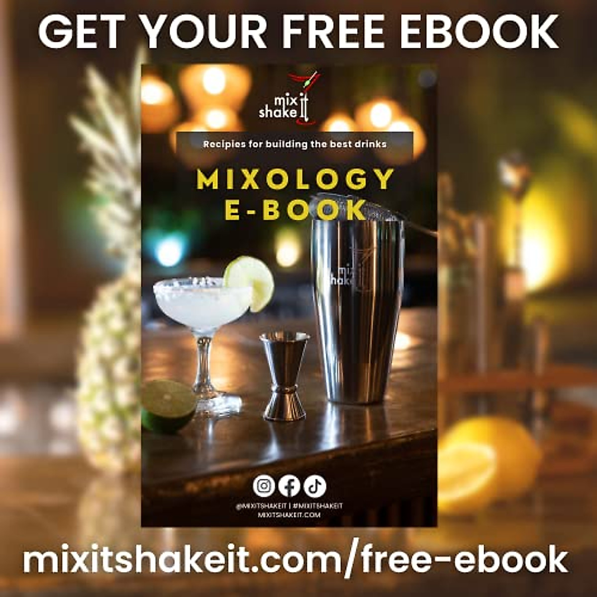 MIX IT SHAKE IT 10-Piece Premium Bartender Kit with Designer Bamboo Stand, Bar Tool Set | Perfect Home Bar Set & Martini Cocktail Shaker Set | Perfect for Gift, Drink Mixing & Party (Silver)