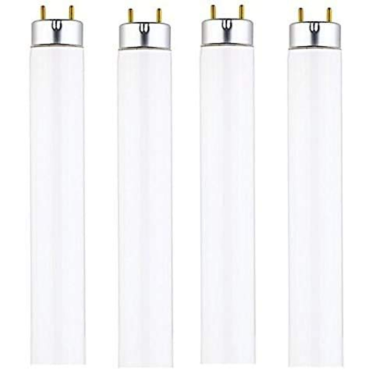 DYSMIO F32T8 32-Watt 48-inch Tube Light Bulb, 6500K, 2850 Lumen, Daylight, G13 Medium Bi-Pin Base T8 Fluorescent Light Bulb - Pack of 4