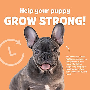Snuggle Puppy Puppy Bites Grow Strong Supplement - Dog Soft Chews for Overall Health - Omega 3 Supplement for Dog Health - Fish Oil Chews for Dogs - 60 Soft Chews