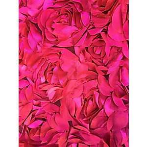Maci HOT Pink 3D Floral Polyester Satin Rosette on Mesh Fabric by The Yard - 10057