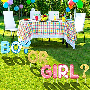 Chinco 10 Pieces Gender Reveal Party Decorations Supplies Baby Shower Plastic Yard Signs Outdoor Letters Lawn with Stakes for Indoor Garden (Boy or Girl)