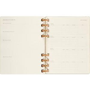 Moleskine 2024 Spiral Academic Planner, 12M, Extra Large, Crush Kiwi, Hard Cover (7.5 x 10)