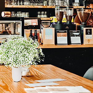 DYYHSDPU Baby Breath Artificial Flowers Bulk(12 pcs) Upgrade Faux Flowers Gypsophila, for Home Garden Decoration, Wedding Party, DIY Bouquet Filler. (White)