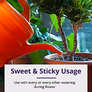 Humboldts Secret Sweet & Sticky – Carbohydrate and Saccharide Energy Source – Enhance Aroma and Flavor of Plants – Potting Soil for Indoor Plants – Energy for Plants – 32 Ounces