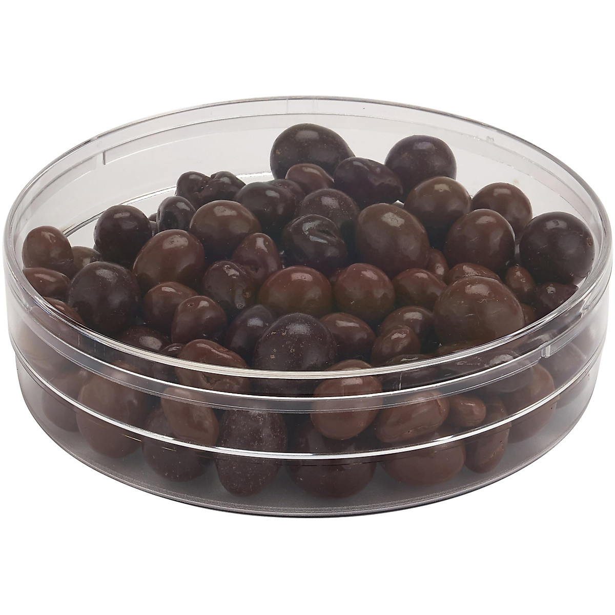 Pioneer Plastics 173C Clear Round Plastic Container with Frosted Bottom, 6" W x 1.375" H