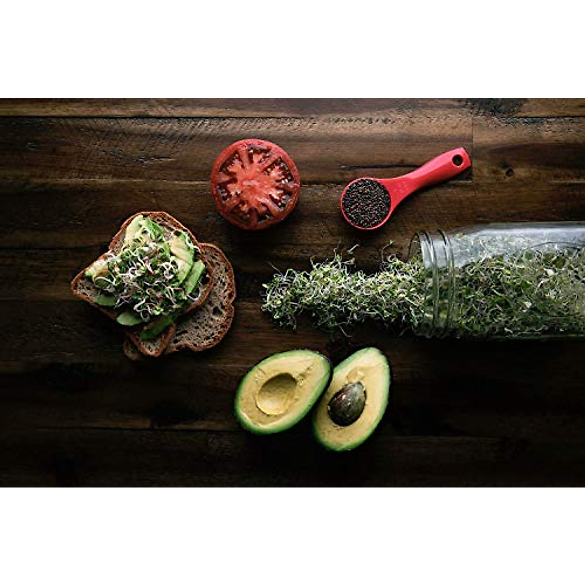 Broccoli Seeds for Sprouting & Microgreens | Waltham 29 Variety | Non GMO & Heirloom Seeds | Bulk 1 LB (16 oz) Resealable Bag | Rainbow Heirloom Seed Co.