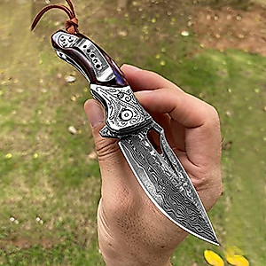 TURENZ Handmade Damascus Steel Flipper Folding Knife with Pocket Clip, Liner Lock, Tactical Knife for Camping, Hunting, Fishing and EDC (Black & White)