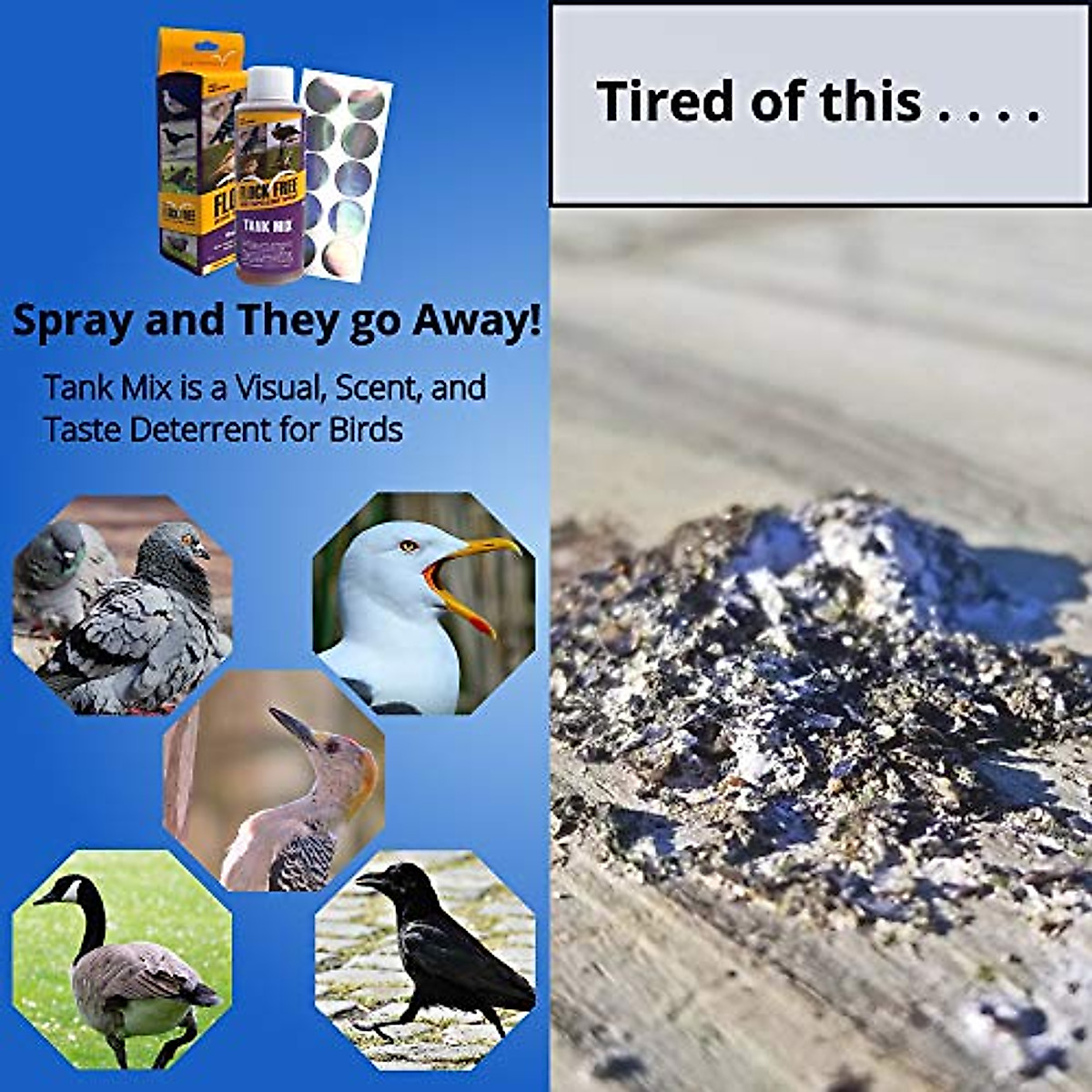 Flock Free Bird Repellent Spray, Residential Bird Problem Solution Bird Control, 4 oz Concentrate (1)