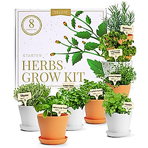Deluxe Herb Garden Kit – Unique Gardening Gifts for Women - 8 Variety Culinary Herb Garden Kit Indoor & Outdoor – Cooking Gifts for Gardeners, Plant Gifts for Mom Who Has Everything This Christmas