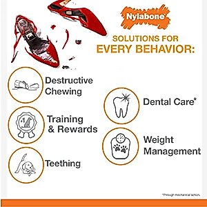 Nylabone Flexi Chew X-Bone Senior Dog Chew Toy Turket & Sweet Potato Small/Regular (1 Count)