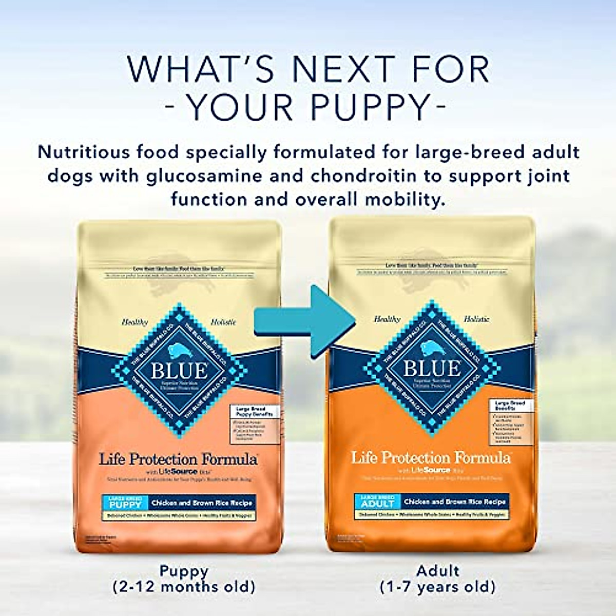 Blue Buffalo Life Protection Formula Natural Puppy Large Breed Dry Dog Food, Chicken and Brown Rice 30-lb