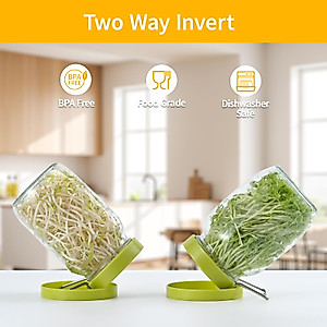 Sprouting Lid, Plastic Mesh Screen Cover Cap with Draining Stand and Tray, Germination Kit Sprouter Maker for Wide Mouth Jars, Grow Bean Sprouts, Broccoli Seeds, Alfalfa, Salad Greens
