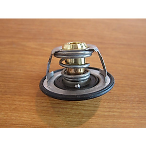 2013-2020 Ram 2500 3500 4500/5500 Thermostat For 6.7L Engines New Mopar OEM