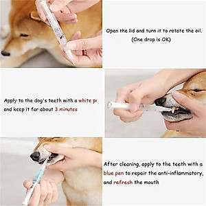 Natural Plant Substance - Pet Teeth Repairing Kit Pet Dog/Cat Teeth Cleaning Pen for Dental Care,Pet Teeth Whitening Pen Tool Pet Dog/Cat Beauty (Pet Teeth Repairing Kit)